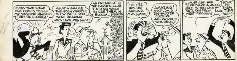 Homer Hoopee Comic Strip autograph, item FP788484