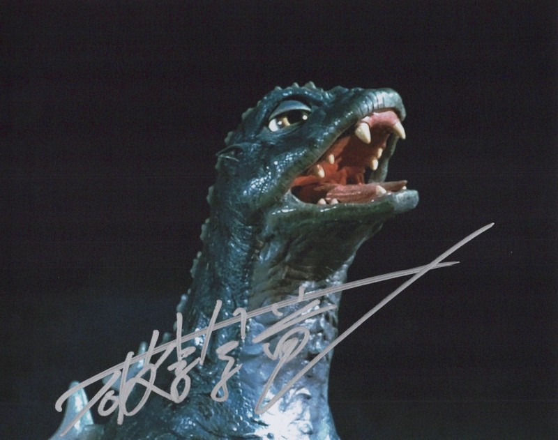 Hurricane Ryu Hariken autograph, item FP629744