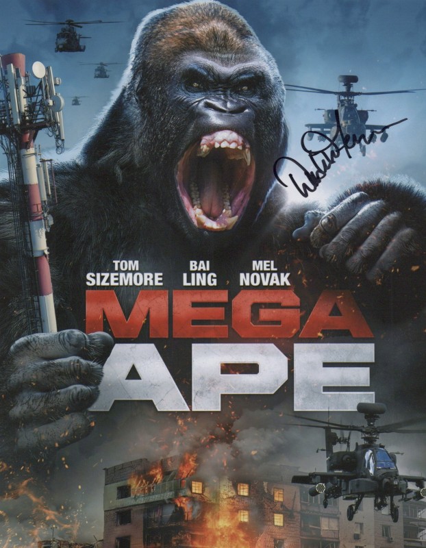 Dustin Ferguson autograph, item FP676379